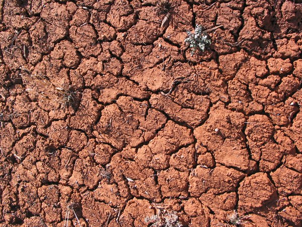 Texture JPEG rock mud crack