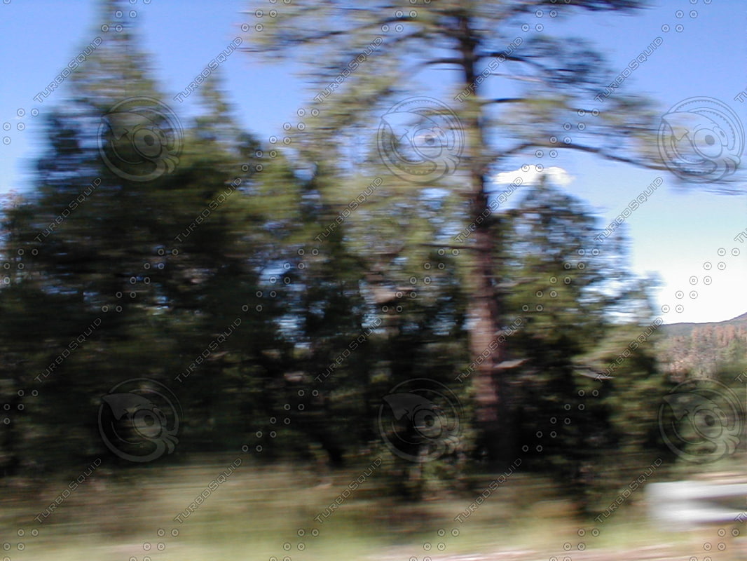 Stock JPEG trees grass nature