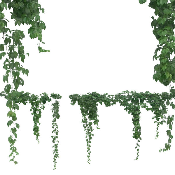 Texture Photoshop Collection tree plants