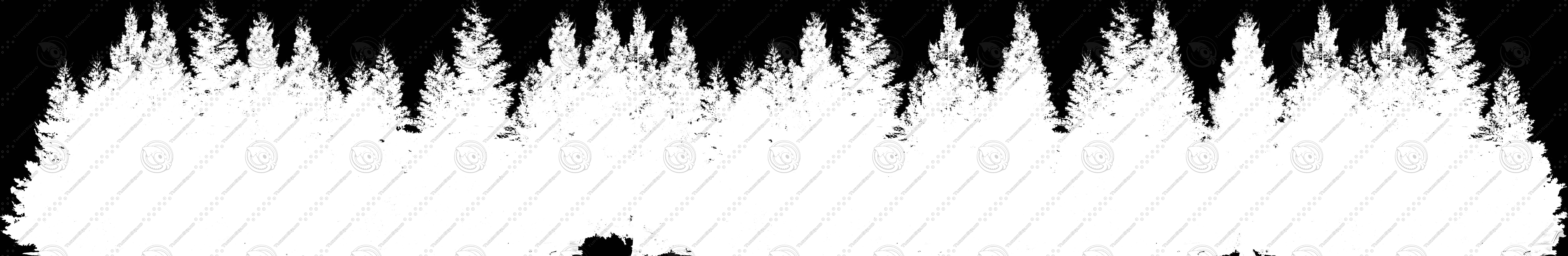 Texture JPEG treeline organic trees
