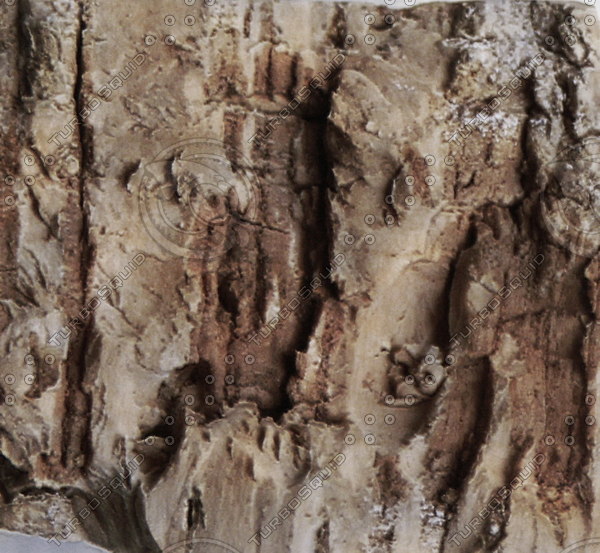 Texture JPEG cork cliff rock