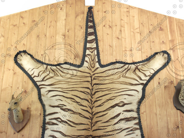 Texture Windows Bitmap tiger animal creature