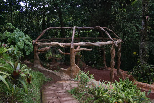 Stock JPEG structure jungle natural