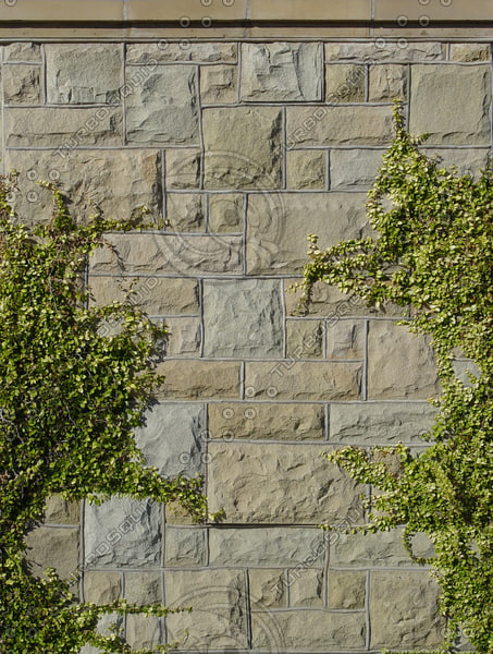 Texture JPEG stone rock wall