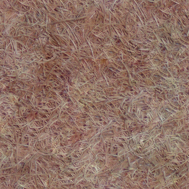Texture JPEG straw ground hay