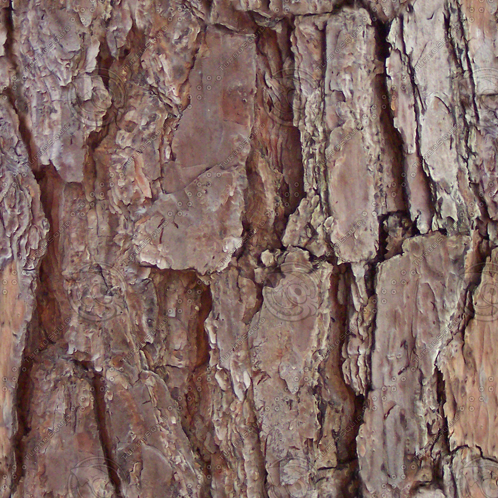 Texture JPEG bark brown trees