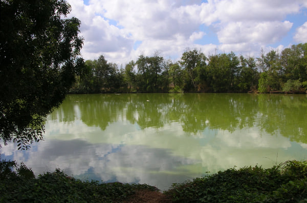Stock JPEG river darwin kakadu
