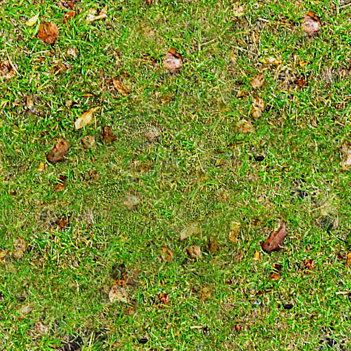 Texture JPEG grass rock earth