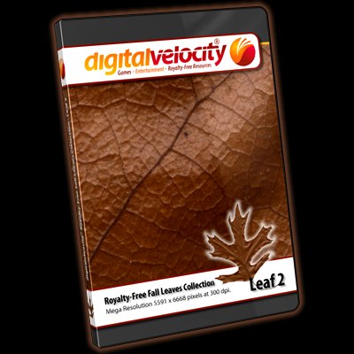 General Windows Bitmap Leaf color fall