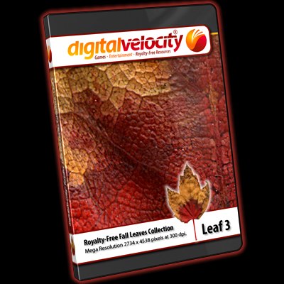 General Windows Bitmap Leaf color fall