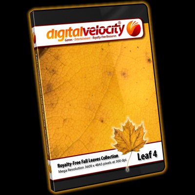 General Windows Bitmap Leaf color fall