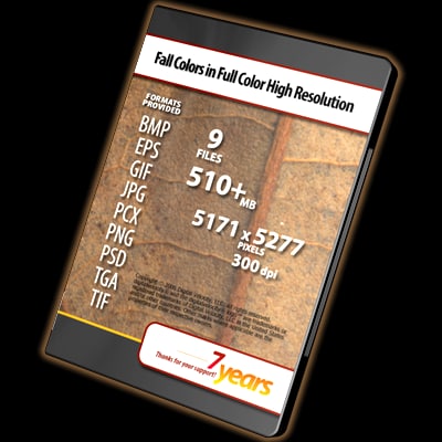 General Windows Bitmap Leaf color fall