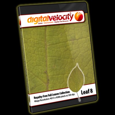 General Windows Bitmap Leaf color fall