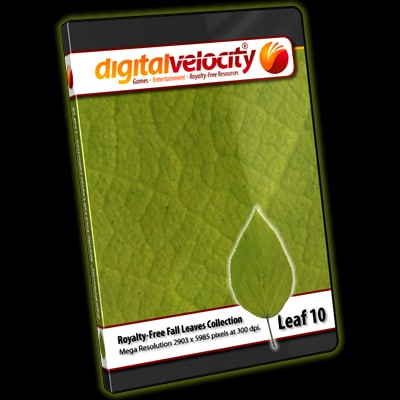 General Windows Bitmap Leaf color fall