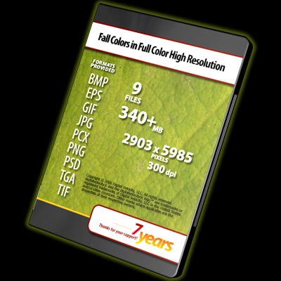 General Windows Bitmap Leaf color fall