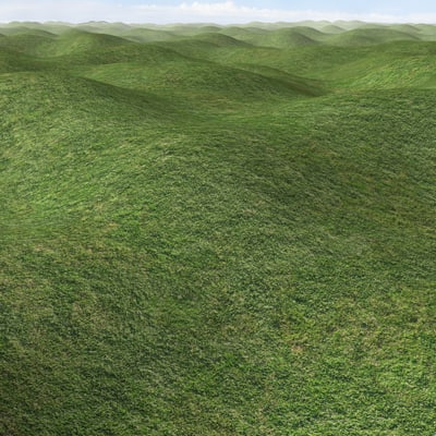 Texture JPEG grass resolution huge