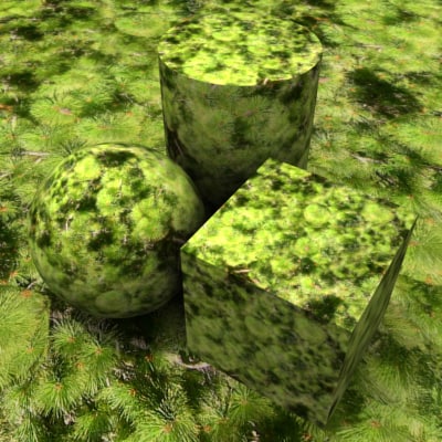 Texture JPEG vegetation texture plants