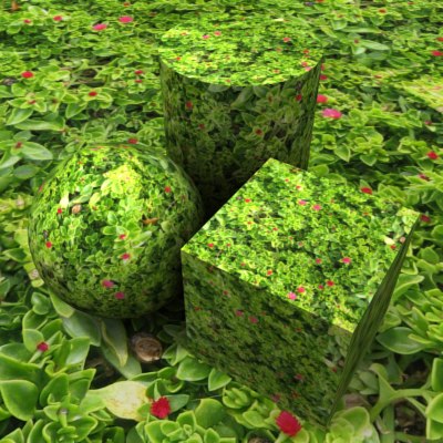 Texture JPEG vegetation texture plants