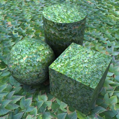 Texture JPEG vegetation texture plants
