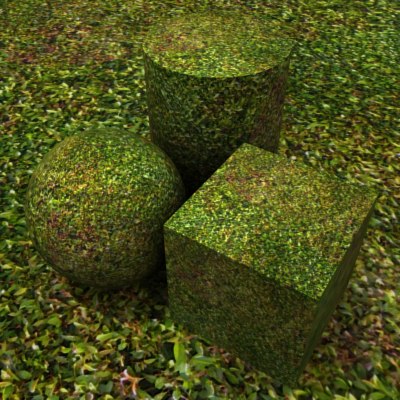 Texture JPEG vegetation texture plants