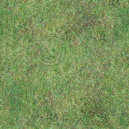 Texture Other ground grass seamless