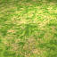 Texture PNG Mountain Grass Textures