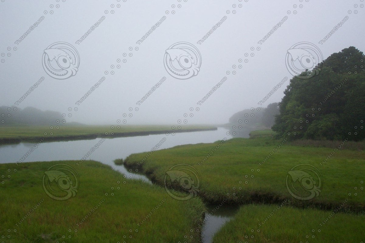 Stock JPEG grass water waterway