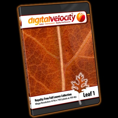 General Windows Bitmap Leaf color fall