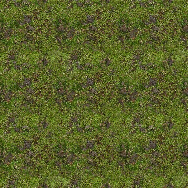 Texture JPEG moss game seamless