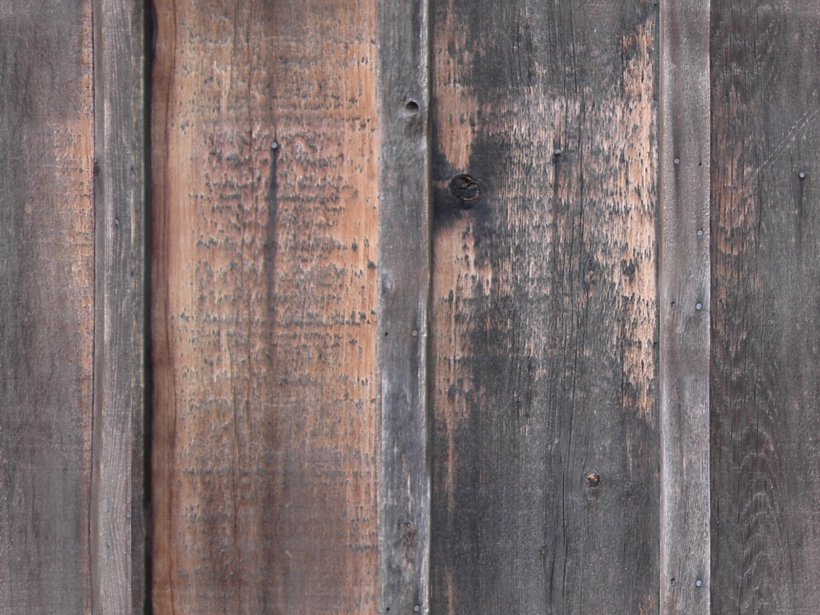 Texture Windows Bitmap Cedar Wood Wall