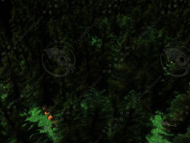 Game forest environment garden