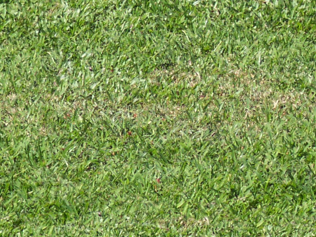 Texture JPEG high detail lawn