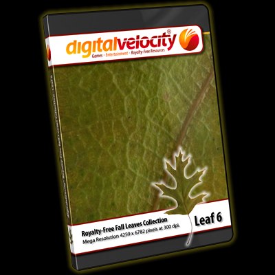 General Windows Bitmap Leaf color fall