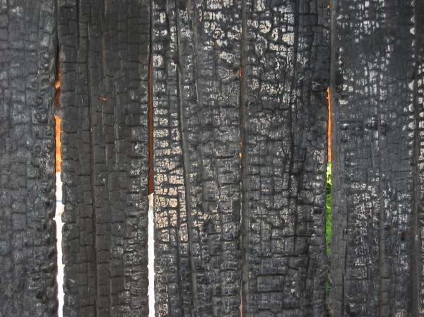 Texture JPEG burnt wood bump