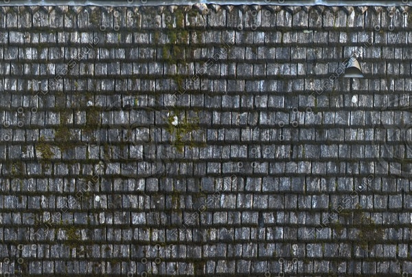 Texture JPEG medieval wood shingle