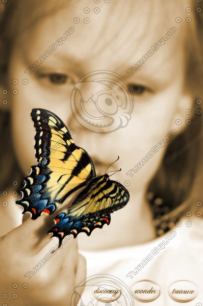 Stock JPEG kid child butterfly