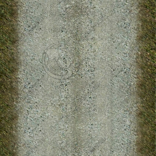 Texture JPEG rally japan game