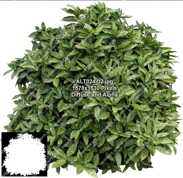 Texture JPEG shrub texture ambientlight