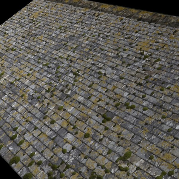 Texture JPEG Slate roof mossy