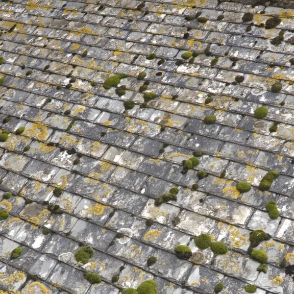 Texture JPEG Slate roof mossy