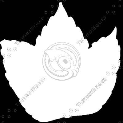 Texture Windows Bitmap leaves oak leaf