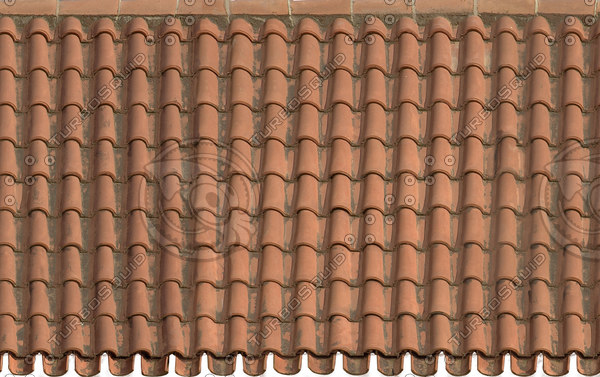 Texture JPEG roof tile rounded