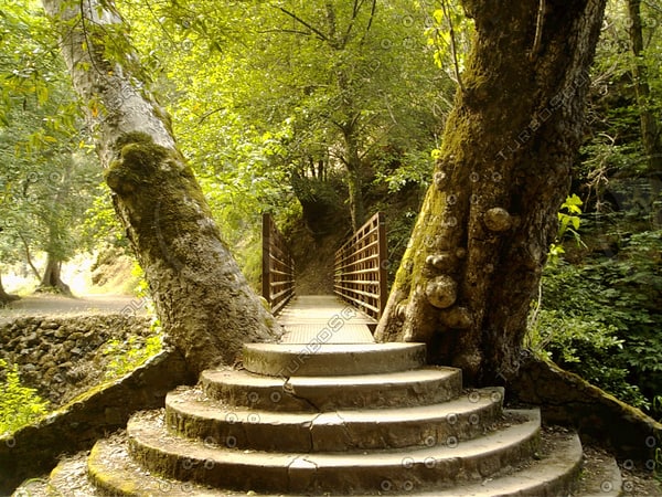 Texture JPEG park bridge stair