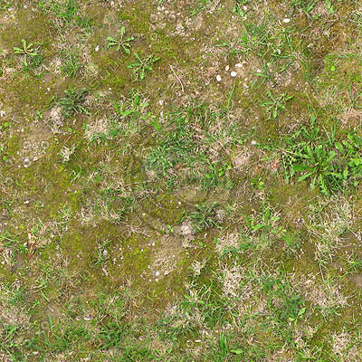 Texture JPEG ground grass seamless