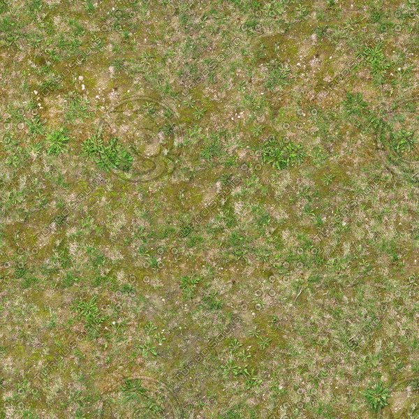 Texture JPEG ground grass seamless