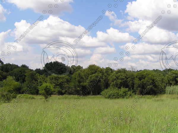 Texture JPEG background day shot