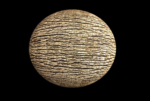 Texture JPEG Tree Texture Palm