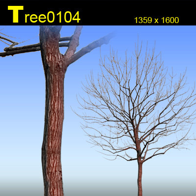 Texture Photoshop tree plant