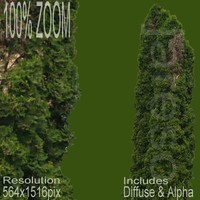 Texture JPEG tree trees nature