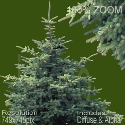 Texture JPEG tree trees nature